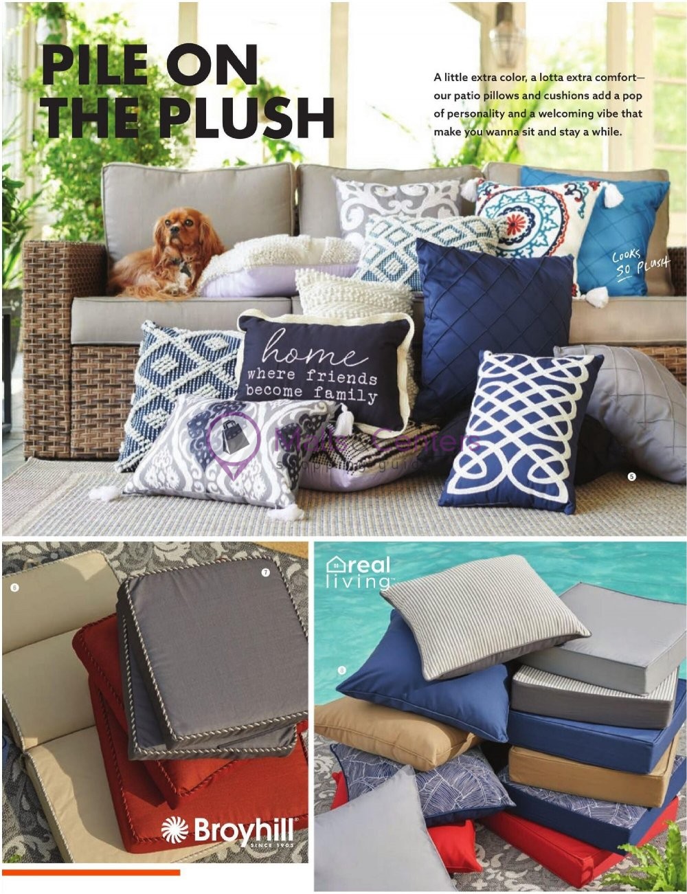 Big Lots Weekly Ad - sales & flyers specials - MallsCenters